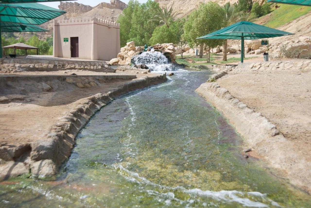 Al Ain City Tour from Abu Dhabi - Abu Dhabi Tours | Sightseeing City ...